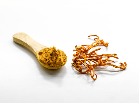 Mushroom Extracts – Oxford Contract Manufacturing